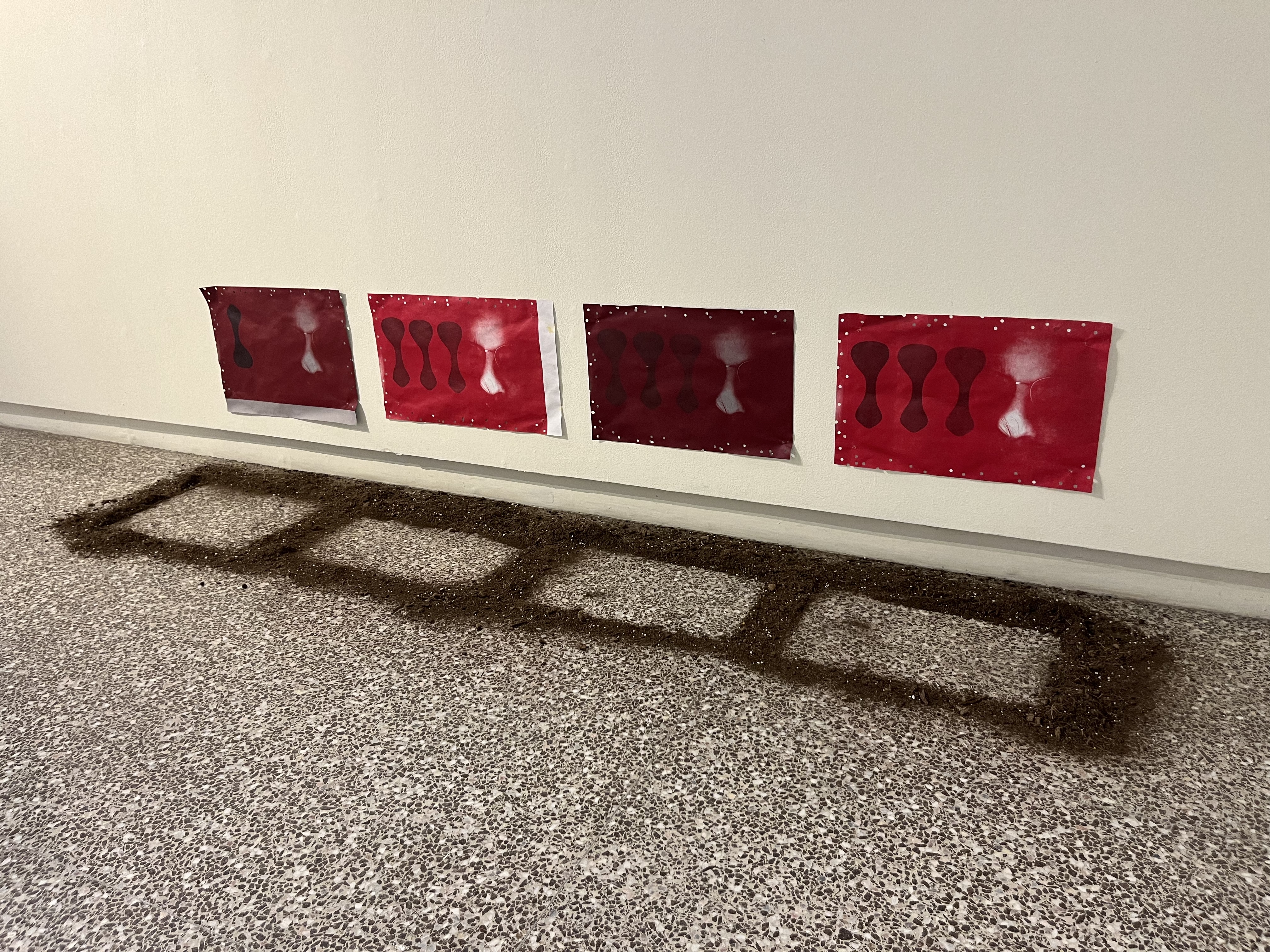 2025/26 Merit Scholarship Recipient: Sofia Vasquez | Minneapolis College of Art and Design